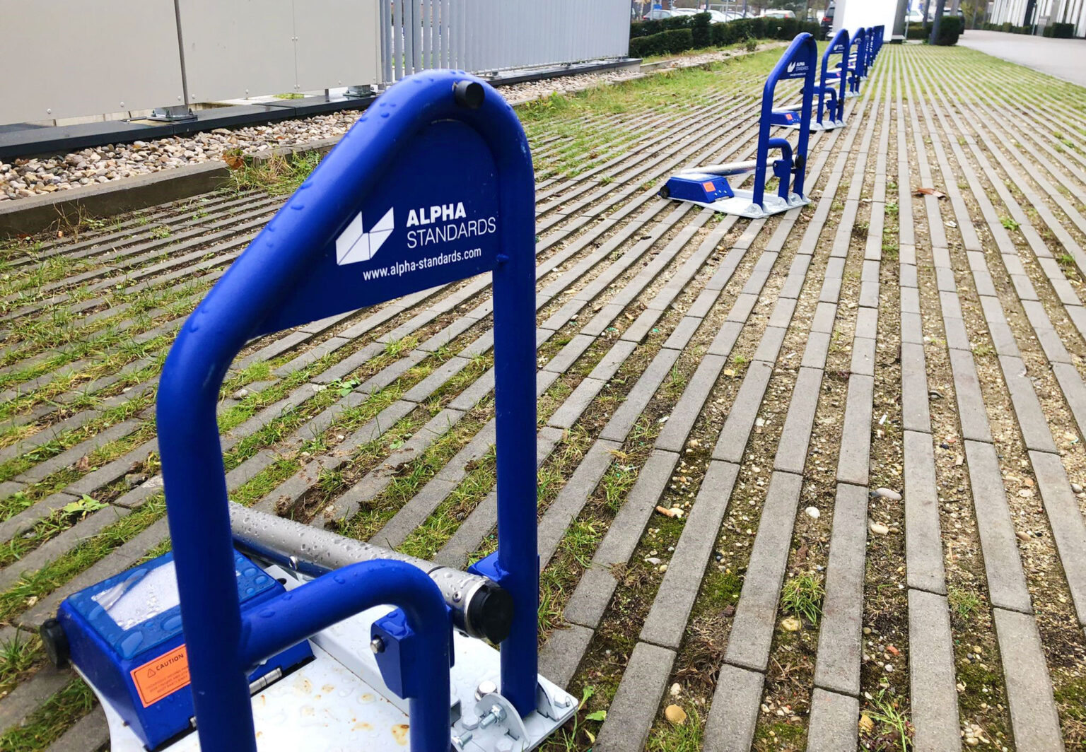 Vielversprechende Zusammenarbeit - BLÖMEN VuS GmbH